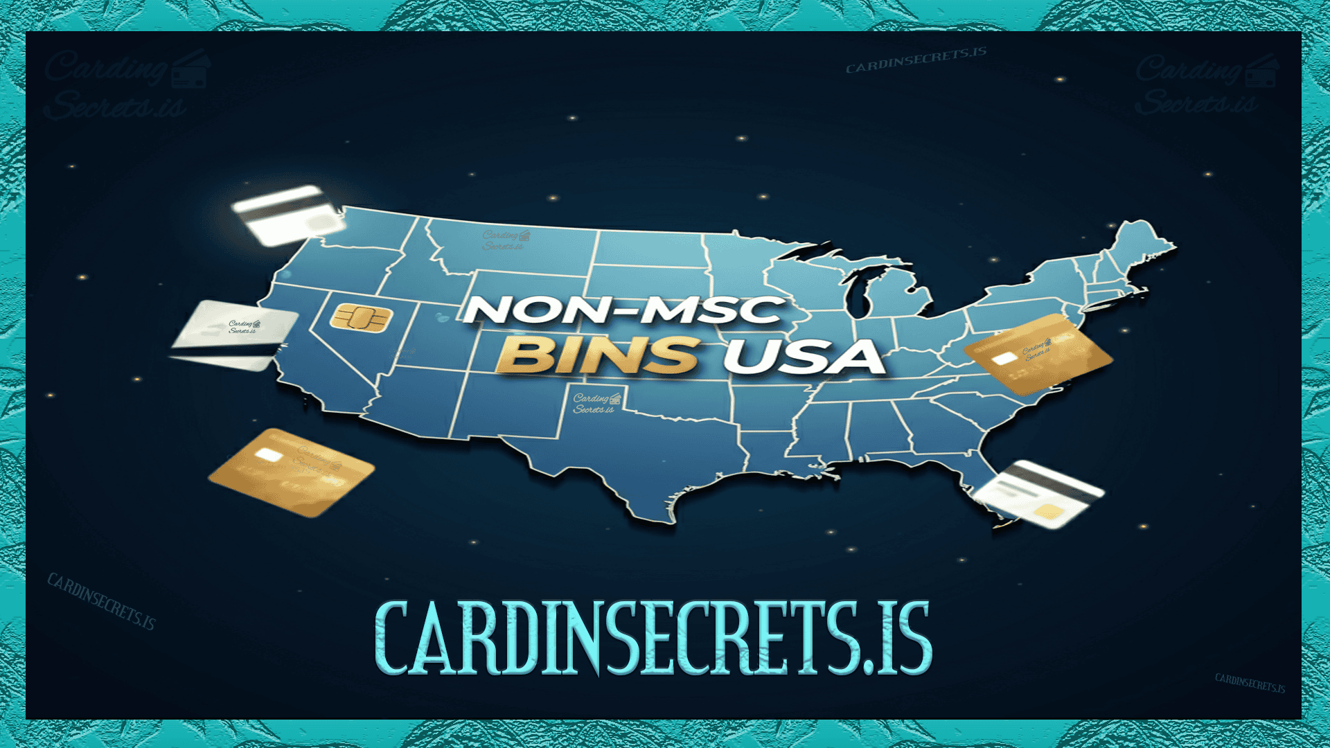 Updated Non VBV Bins List 2025 (+Non MSC) | Live